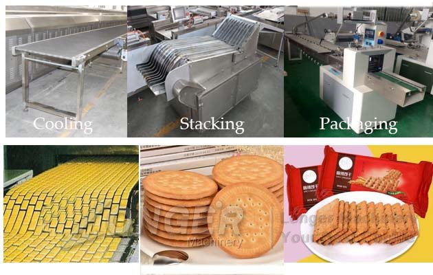 Industrial Biscuits Processing Line|Automatic Biscuit Making Plant 150 ...