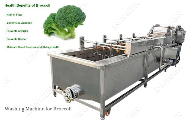 SUS304 Broccoli Cauliflower Cleaning Washing Line